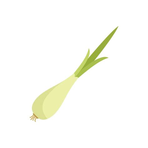 Leek Chive Icon Flat Vector Fresh Garlic 17337154 Vector Art At Vecteezy