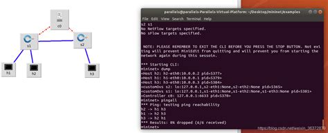 Mininet可视化（miniedit）start Cli Csdn博客