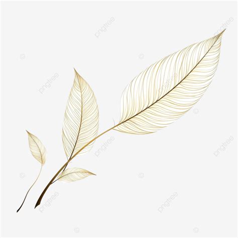 Leaf Line Art With Gold Leaf Drawing Garden Tropical PNG Transparent