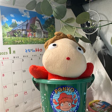 포뇨 양동이에 들어간 포뇨 콜리 Colley