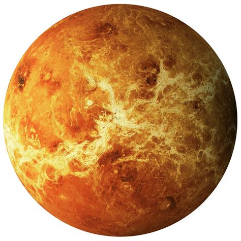Social Trends Venus