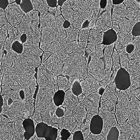 Microstructure Of As Received Material As Shown Through A Bse Image Download Scientific