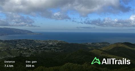 Zealandia Wildlife Sanctuary Walk Wellington New Zealand 111