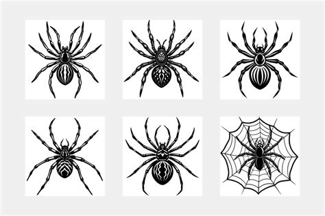Spider Net Silhouette Set 47466464 Vector Art At Vecteezy