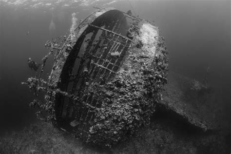 The Hidden Wonders Of Wreck Diving In Sudans Central Red Sea Scuba