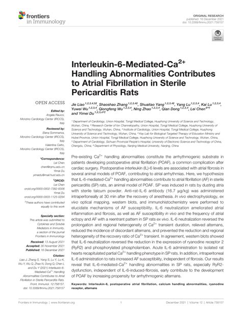 PDF Interleukin 6 Mediated Ca2 Handling Abnormalities Contributes To Atrial Fibrillation In