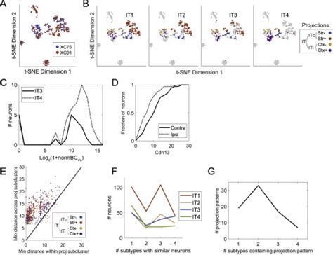 High Throughput Mapping Of Long Range Neuronal Projection Using In Situ Sequencing Cell