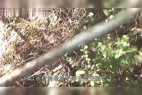 现在农村的老房子老值钱了！甚至值十几万，你选择补偿款还是房子补偿款农村房子