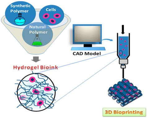 3d Bioprinting Of Nature Inspired Hydrogel Inks Based On Synthetic