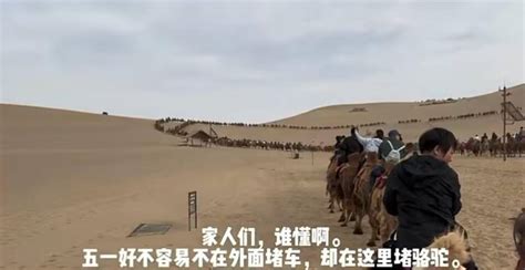 敦煌月牙泉单日接待超两万人，游客感叹“堵骆驼”，景区：2400多峰骆驼仍供不应求刘先生鸣沙山小时