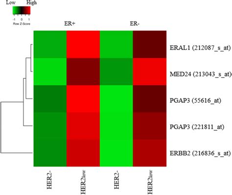 Heat Map Of Genes With A Significant Different Expression Level Download Scientific Diagram