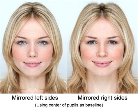 Ideal Female Face Proportions