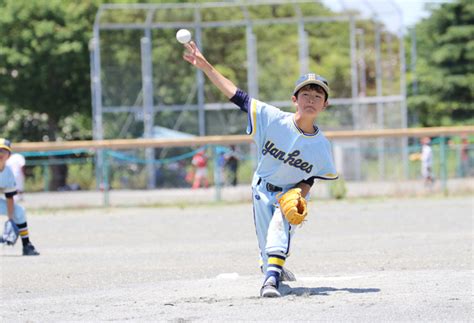 選手権ジュニア 決勝カード決定 東日新聞