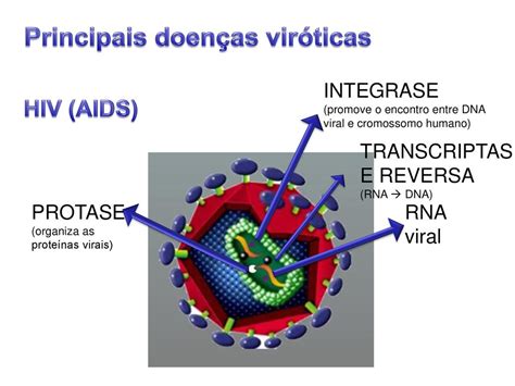 VÍRUS ppt carregar