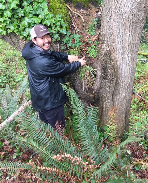 Finding A Noxious Weed Noxious Weeds Blog