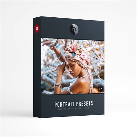 Portrait Lightroom Presets Workflow Presetpro