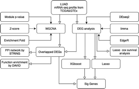 A Study Flowchart For Our Analysis Download Scientific Diagram
