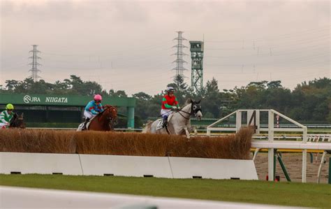 ジャンプレース応援隊 On Twitter 2022年10月23日 新潟4r・障害未勝利 レース写真⑤ アンブロジオ、飛越がやはり上手