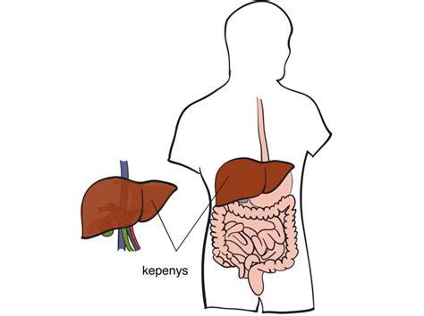 Kepenys