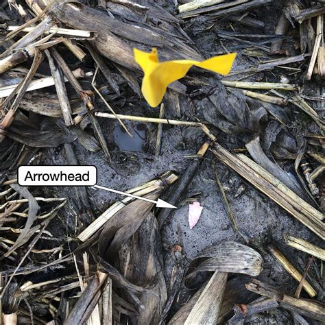 Archaeodepot Examples