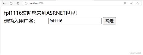 Visual Studio 创建ASP NET Web应用程序 NET Framework 发布并部署到局域网 及常见权限问题和不列出目录问题解决 CSDN社区