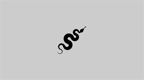 Python für Anfänger Einfaches Zeichnen mit turtle in Python für Anfänger on Vimeo