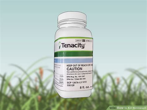 How To Kill Nimblewill 9 Steps With Pictures Wikihow Life