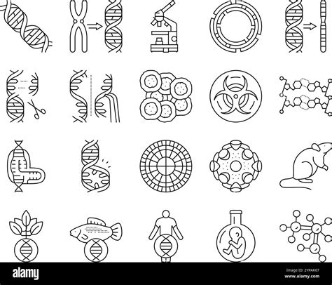 Genetic Engineering Crispr Genome Icons Set Vector Stock Vector Image