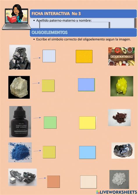 1095160 Los Bioelementos Profeluly Liveworksheets