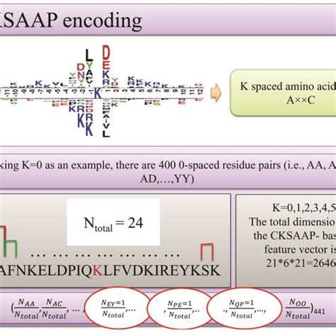 A Schematic Diagram Of CKSAAP Encoding A Higher Resolution Colour