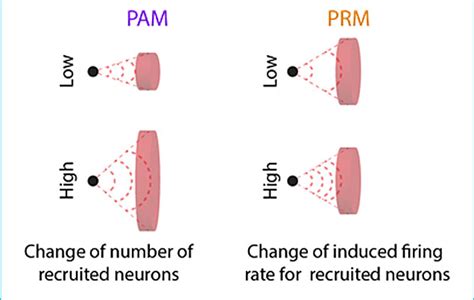 Illustration Of The Effect Of The Different Modulation Modes Amplitude