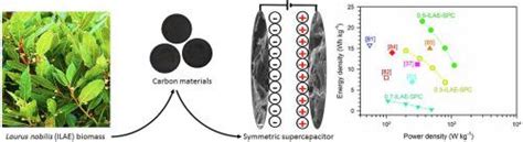 Novel Laurel Aromatic Evergreen Biomass Derived Hierarchical Porous Carbon Nanosheet As