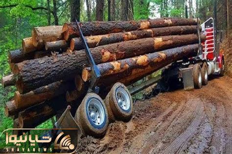 جا به جایی های جانکاه؛ ببینید این تریلی ها با چه مشقتی از گل و رودخانه عبور می کنن