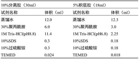 研究asxl2ezh2通过auroraa调控低氧下精子鞭毛多发形态异常机制的实验方法与流程2