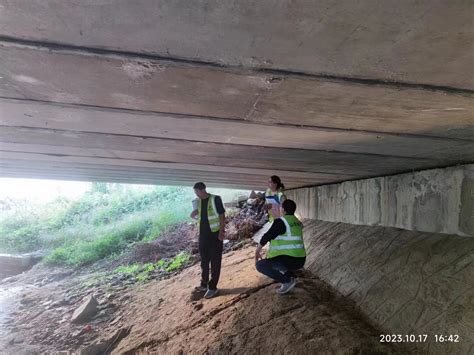 夏津公路分中心开展桥梁检测养护工作德州新闻网