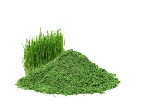 Organic Wheatgrass Powder Vitanics Bio