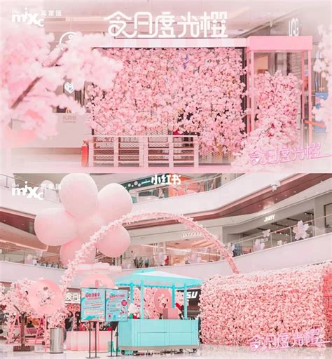 「今日度光樱」花开万象樱花季