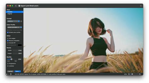 Acorn 8 Full Featured Photo Editor For The Mac