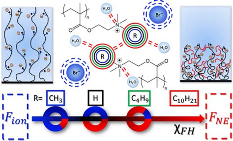 关键非静电效应对聚电解质电刷行为的影响 Macromolecules X Mol