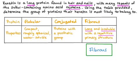 Question Video Determining The Group Of Proteins That Keratin Is Most