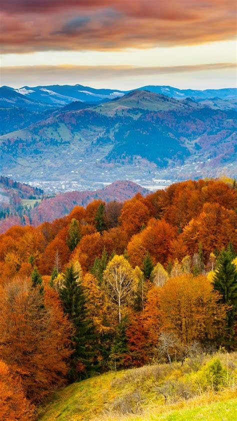 Iphone 11 Autumn Wallpapers Wallpaper Cave