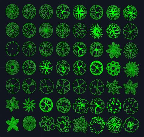 Autocad Tree Plan DWG File Landscape Architecture Blocks CAD Tree Top View Etsy