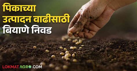 Kharif Season पिकांच्या उत्पादनवाढीसाठी संकरित व सुधारित वाण कोणते