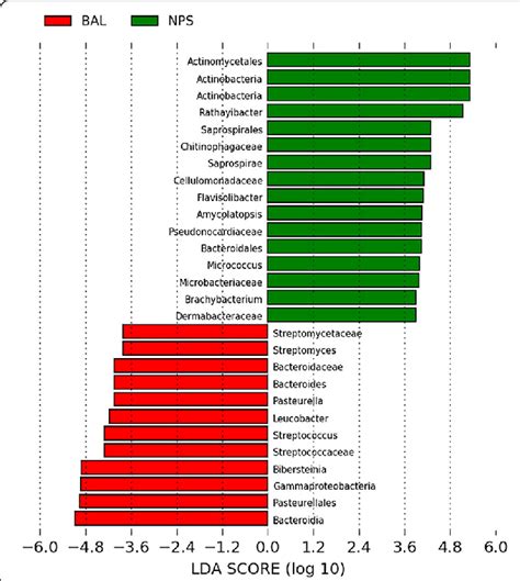 Lefse Comparison Results Of Nasopharyngeal Nps And Bronchoalveolar