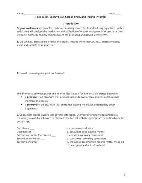 docx food web carbon cycle trophic pyramid · web viewfood webs