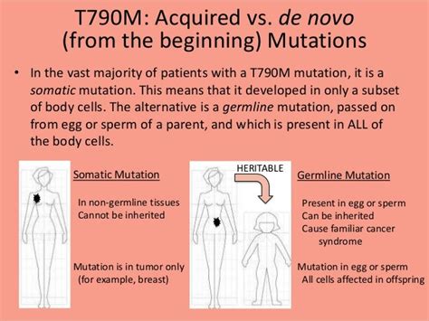inherited t790m egfr mutation and lung cancer risk