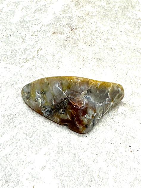 Polished Jurassic Dinosaur Coprolite
