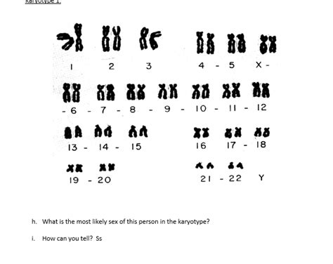 Solved H What Is The Most Likely Sex Of This Person In The
