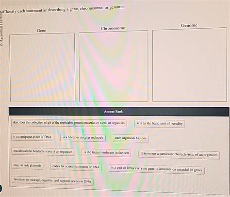 Solved onClassify each statement as describing a gene, | Chegg.com