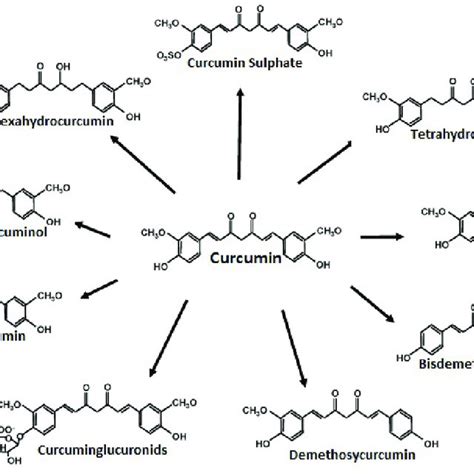 Curcumin And Its Analogues Download Scientific Diagram